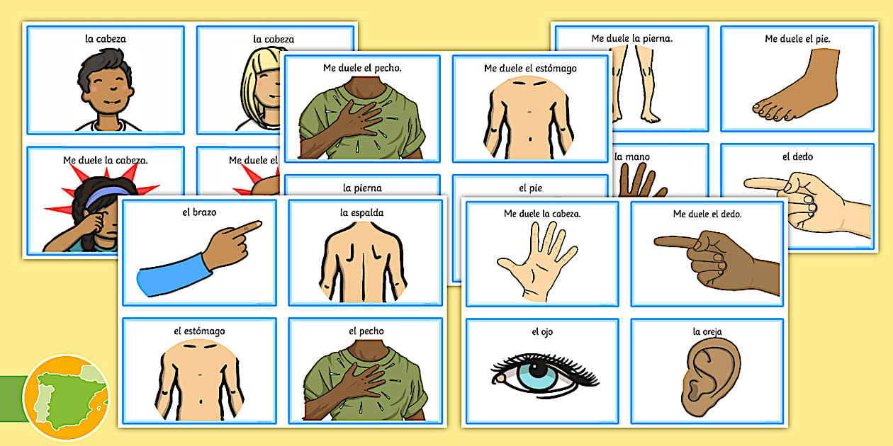 Tarjetas de comunicación - Las partes del cuerpo - Twinkl