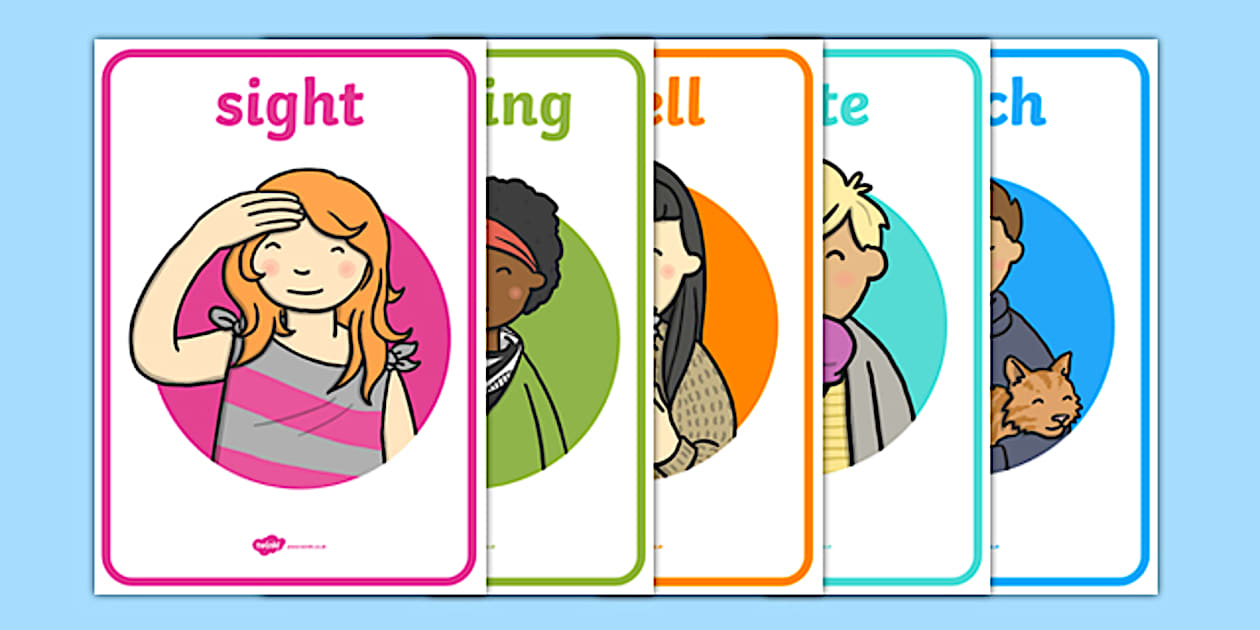 My Senses Display Posters (teacher made) - Twinkl