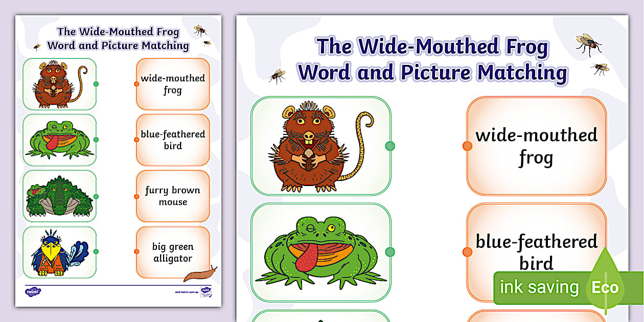 Word and Picture Matching to Support The Wide-Mouthed Frog