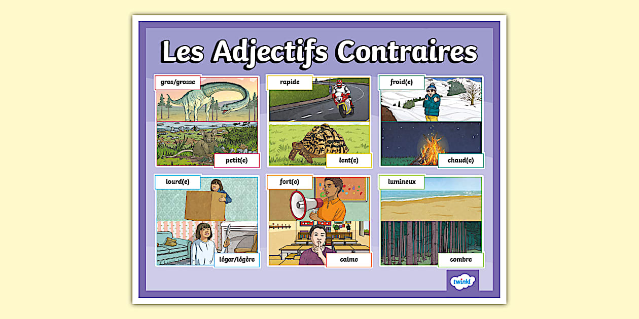 Affiches : Les adjectifs contraires (teacher made) - Twinkl