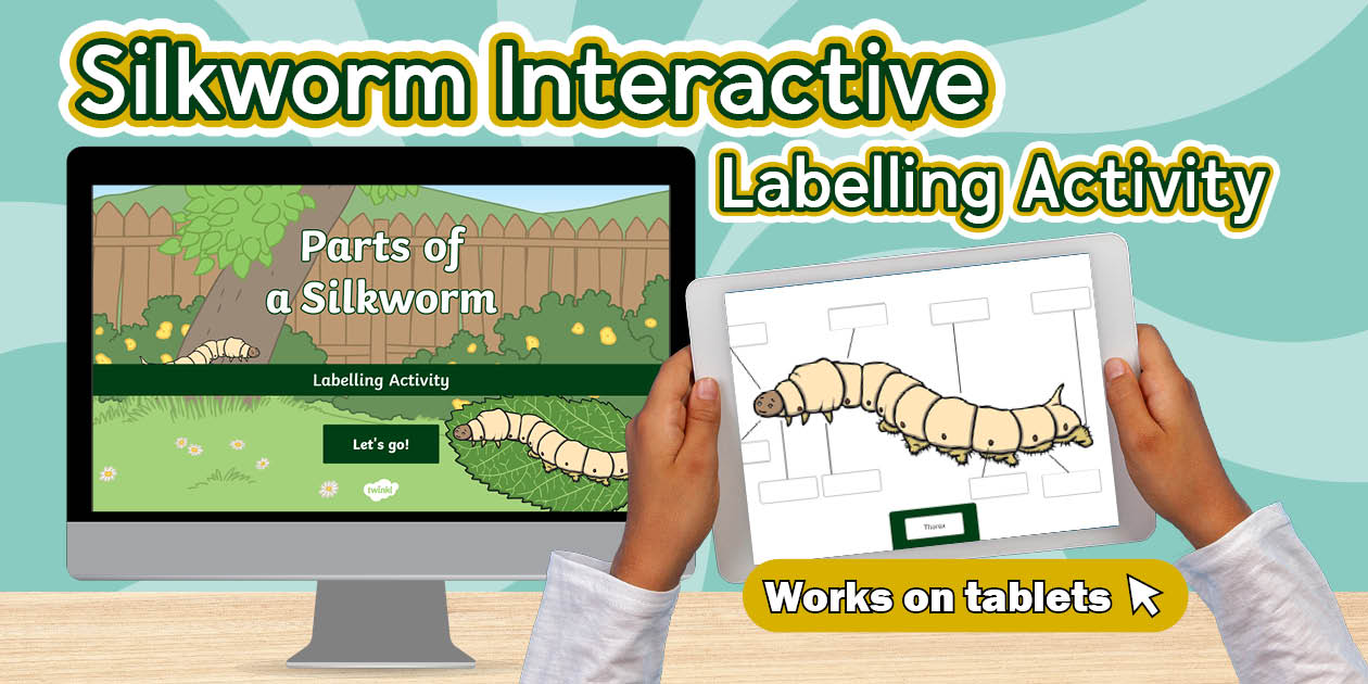 Silkworm Interactive Labelling Activity