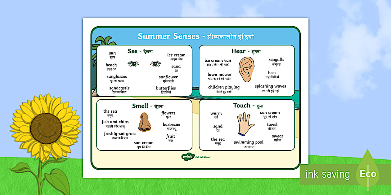 Summer Senses Word Mat English/Hindi - Summer Senses Word Mat