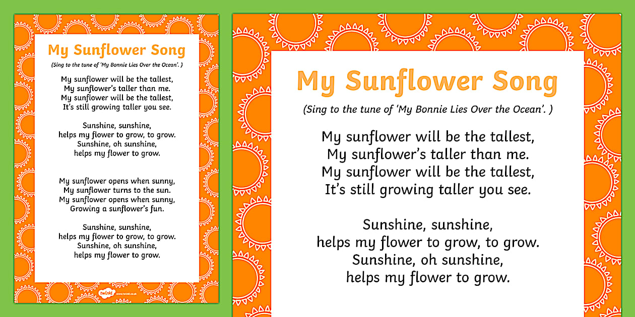 My Sunflower Song (teacher made) - Twinkl