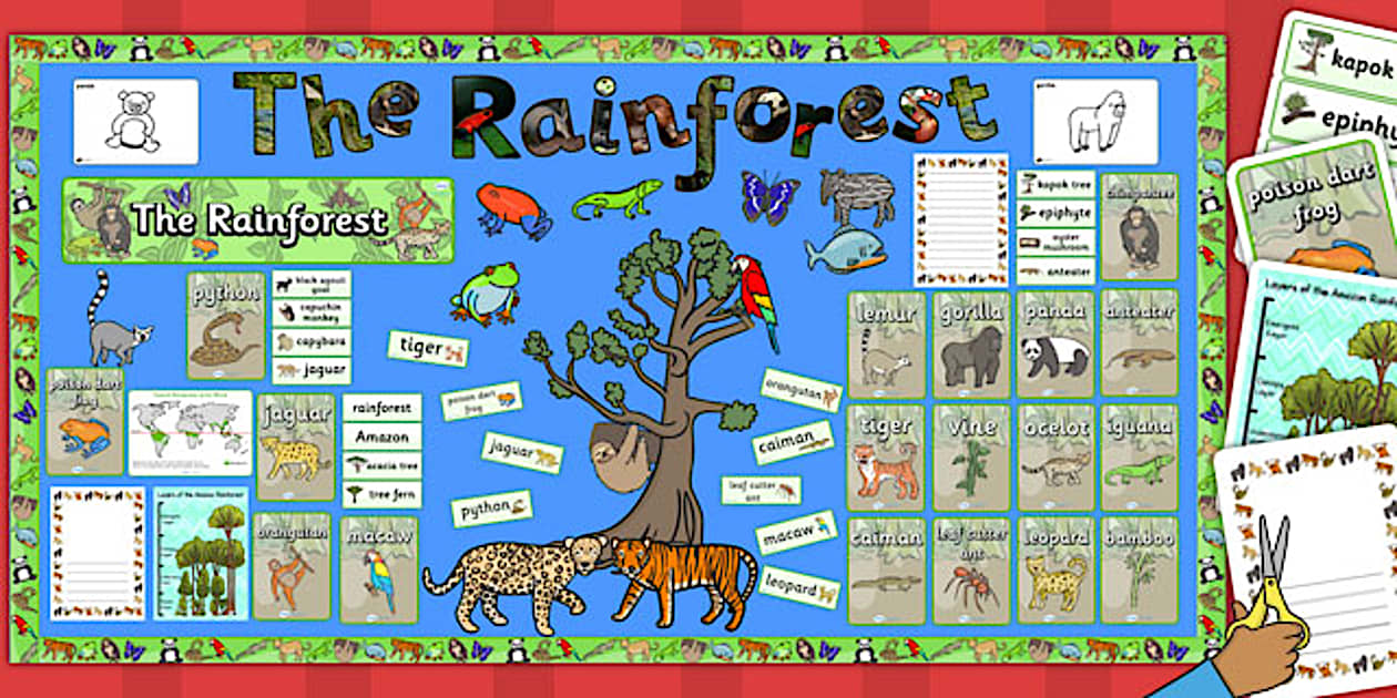 Rainforest Decorations for Classroom | Resource Pack
