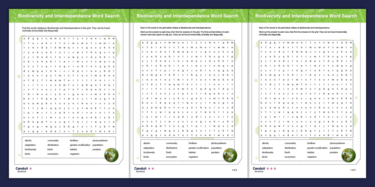 Biodiversity and Interdependence: Differentiated Word Search