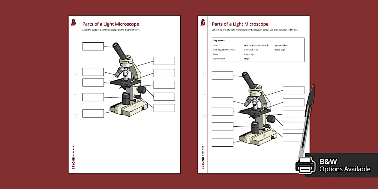 Parts of a Light Microscope Labelling Worksheet - Twinkl