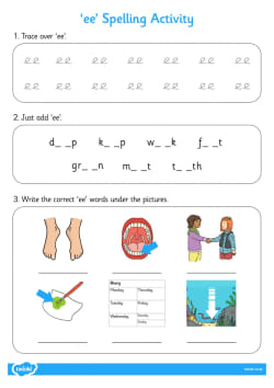 ee Spelling Activity (teacher made)