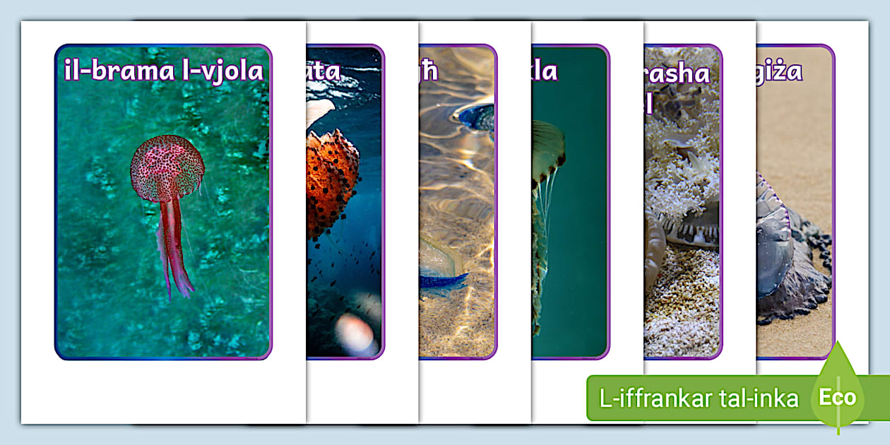 Kartelluni b'Wiri ta' Bram fil-Mediterran - Twinkl