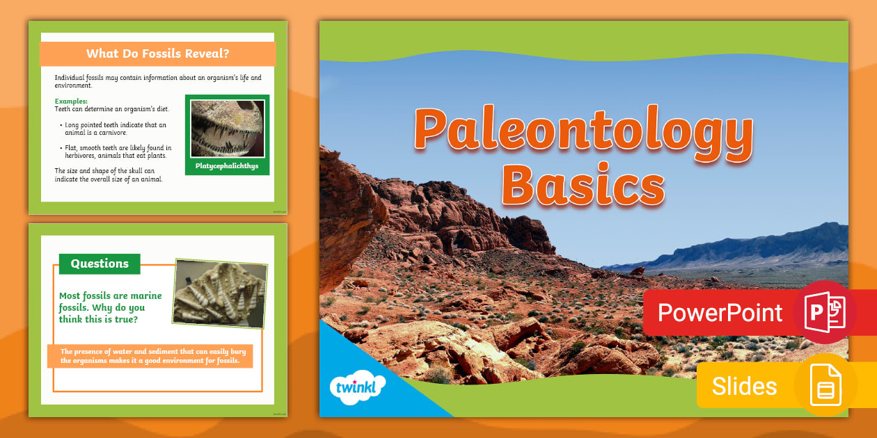 Sixth Grade Paleontology Basics PowerPoint & Google Slides