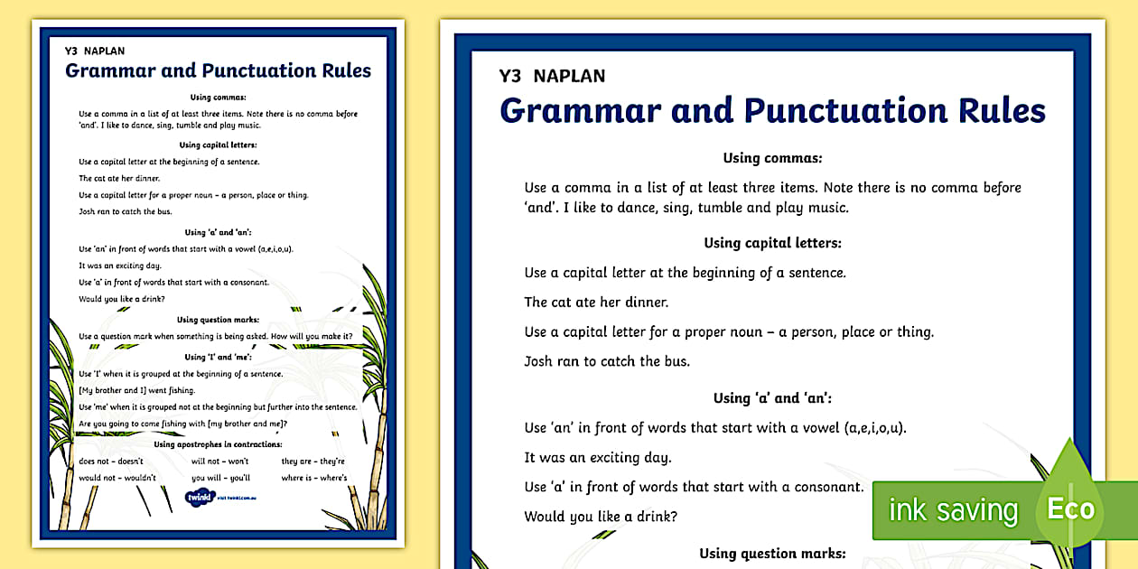 Y3 NAPLAN Grammar & Punctuation Rules Display Poster