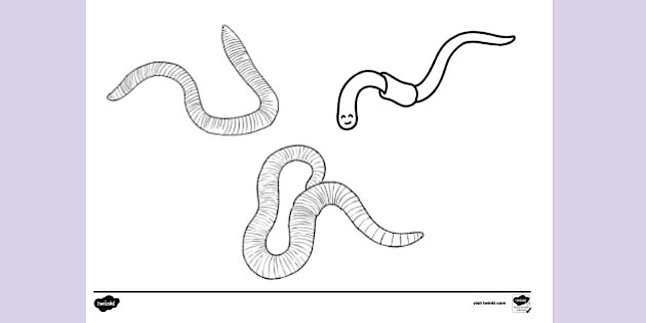 Worms | Colouring Sheets (teacher made) - Twinkl