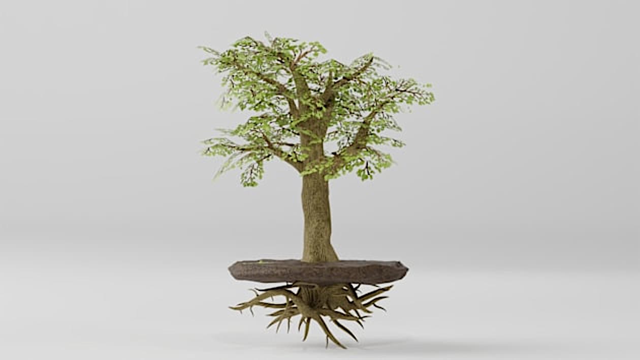 Oak Tree Augmented Reality (AR) 3D Model