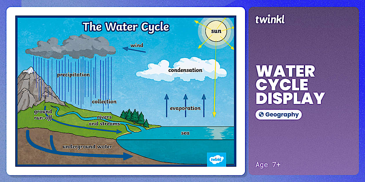 The Water Cycle | KS2 Display | 4 Stages of the Water Cycle