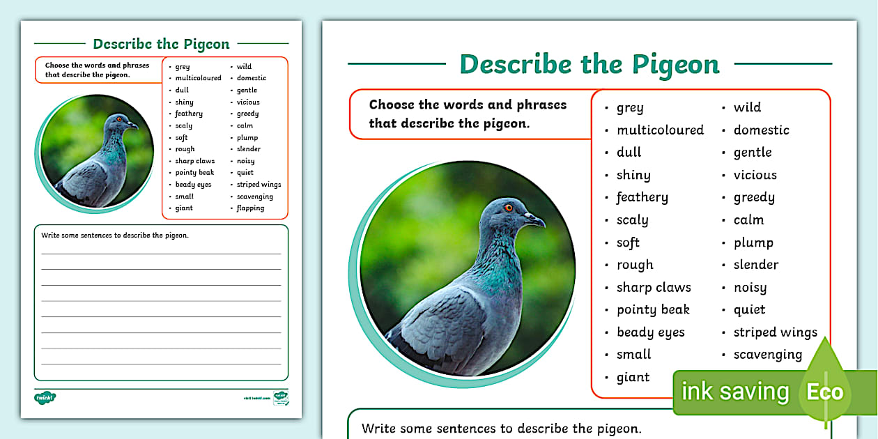 Describe the Pigeon Writing Activity Sheet,pigeon - Twinkl