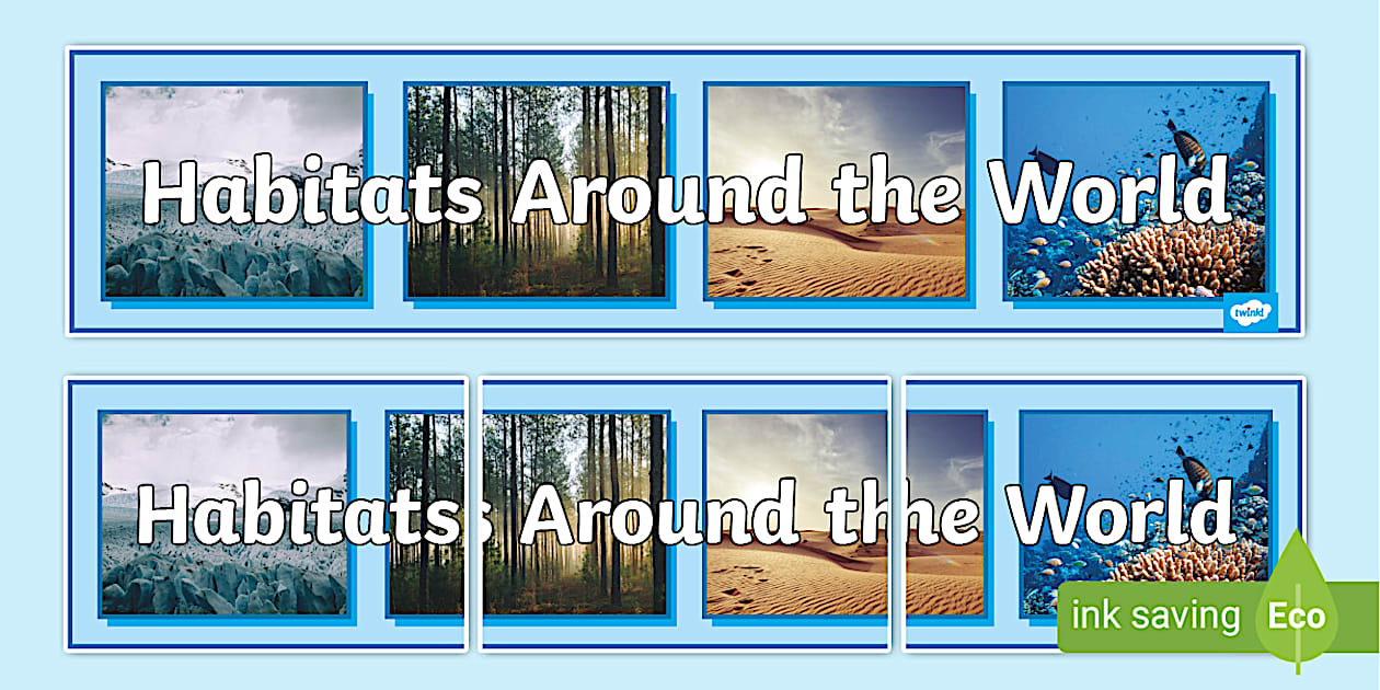 Habitats Around the World Display Banner (Teacher-Made)