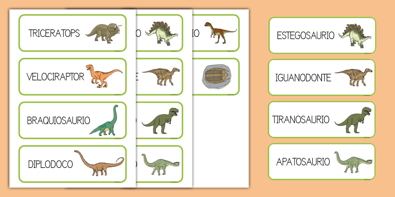 Tarjetas de vocabulario: Los dinosaurios