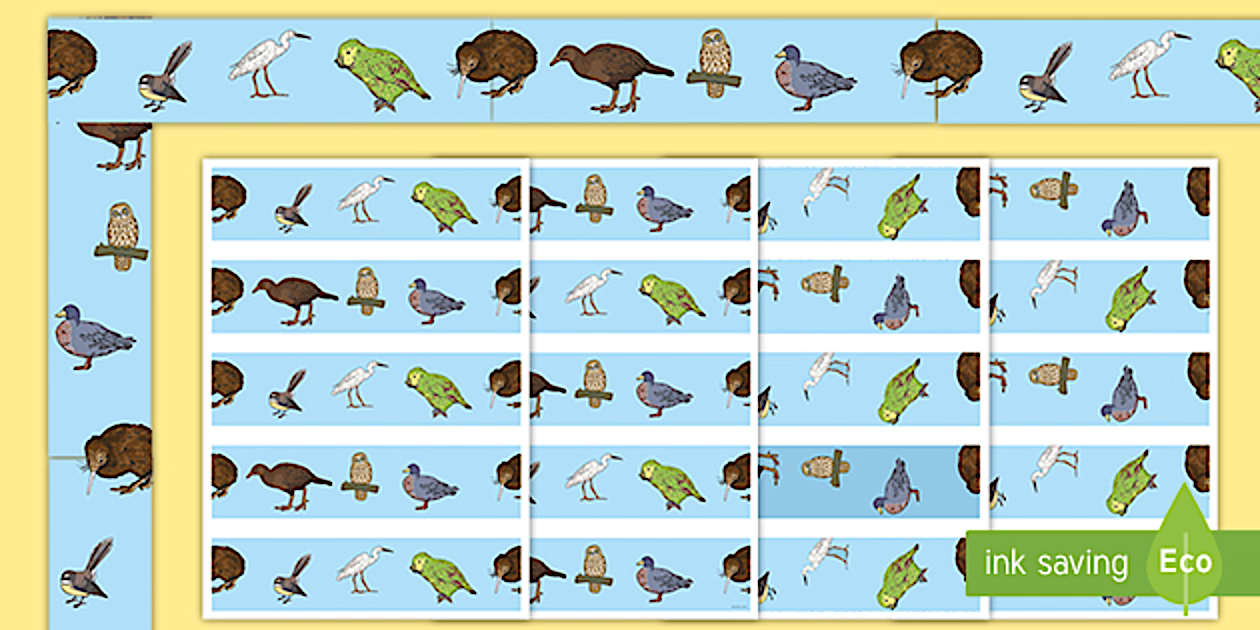 👉 New Zealand Native Birds Display Borders