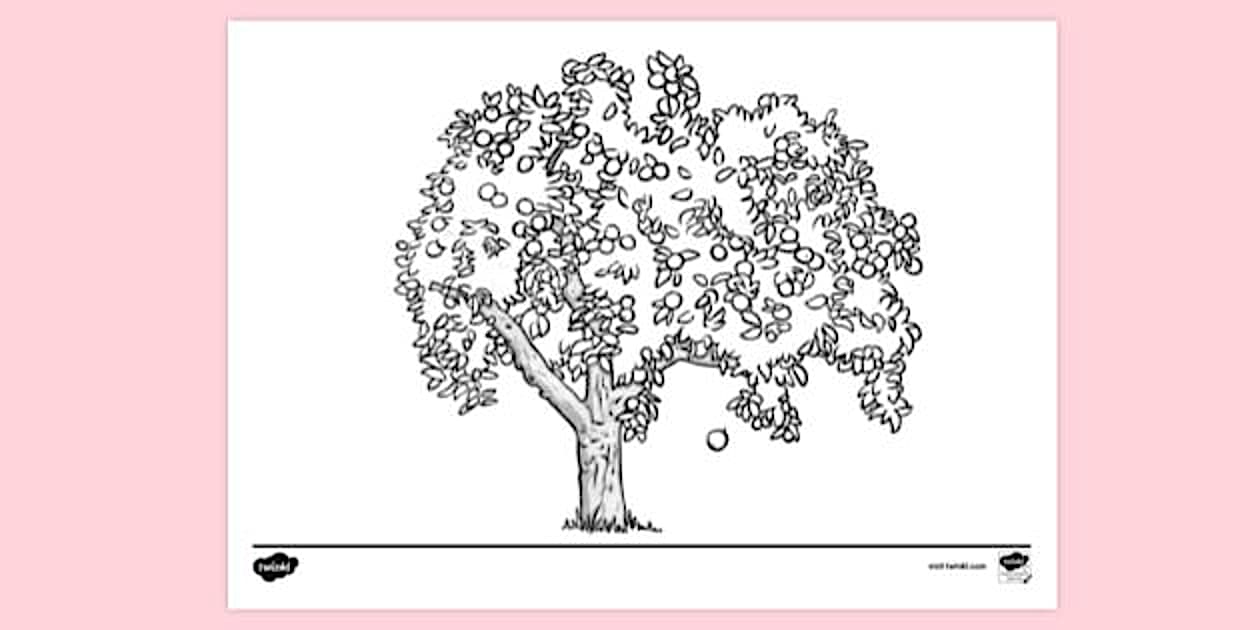 Apple Tree Colouring Sheet | Colouring Sheets (teacher made)