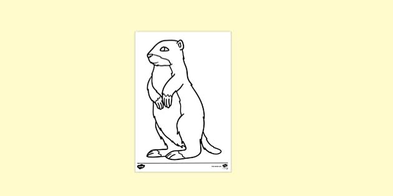 Prairie Dog Colouring Sheet | Colouring Sheets | Twinkl