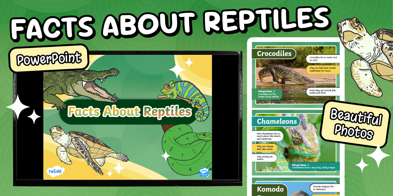 KS1 Facts About Reptiles PowerPoint