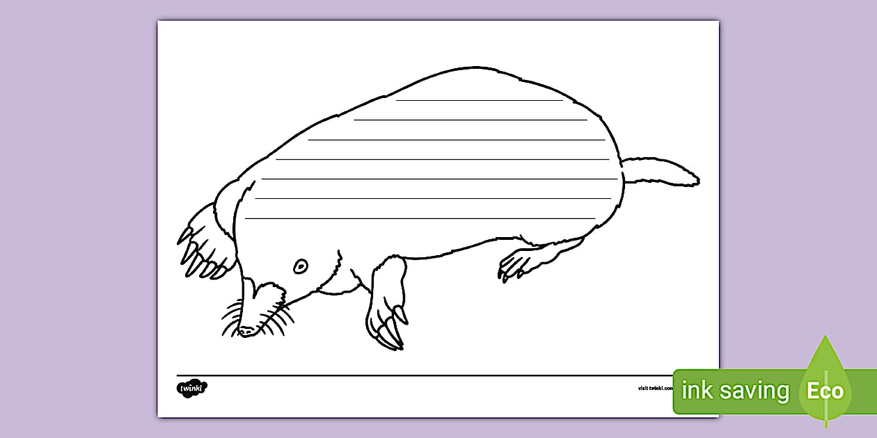 Mole Writing Template (teacher made) - Twinkl