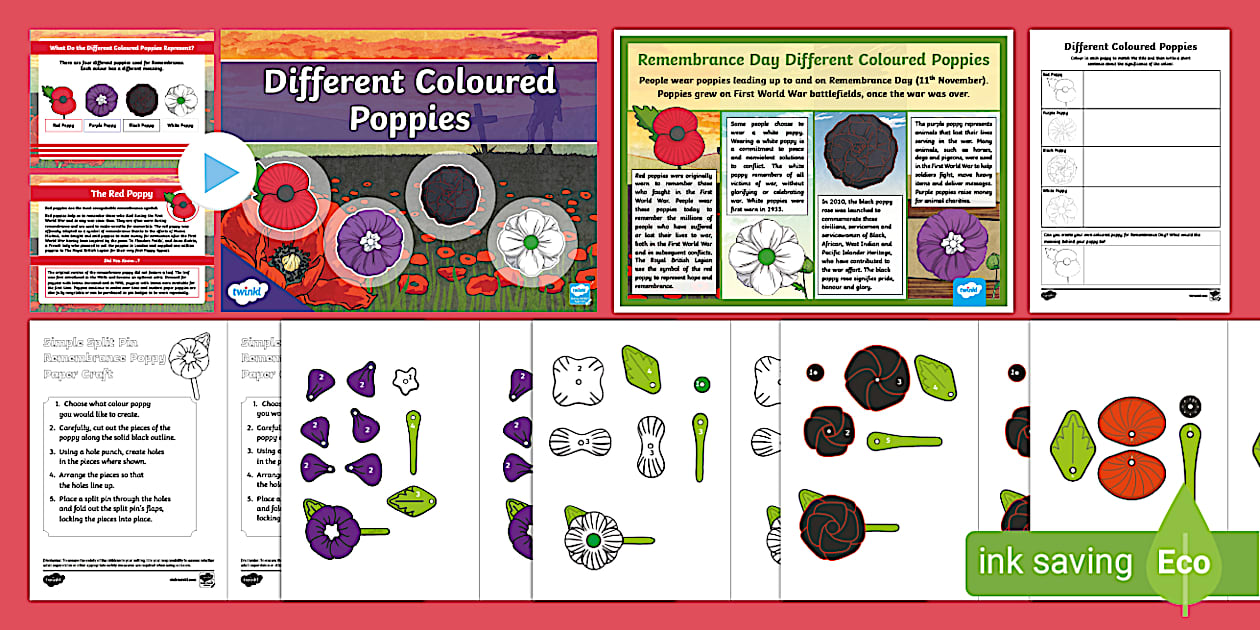 KS2 Different Coloured Poppies Activity Pack (teacher made)