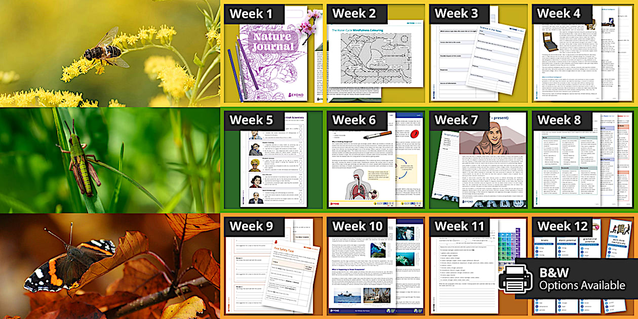 Science Form Time Activities Pack (Year)