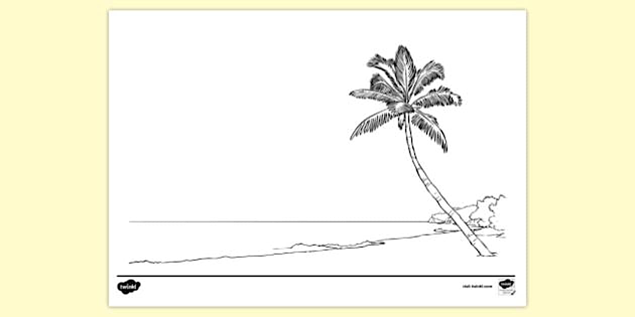 Palm Tree with Coconut on Beach Colouring Sheet - Twinkl