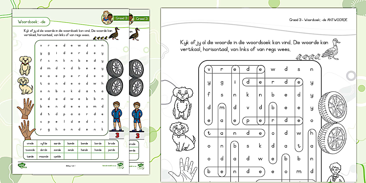 Graad 3 Klanke de Woordsoek (teacher made) - Twinkl