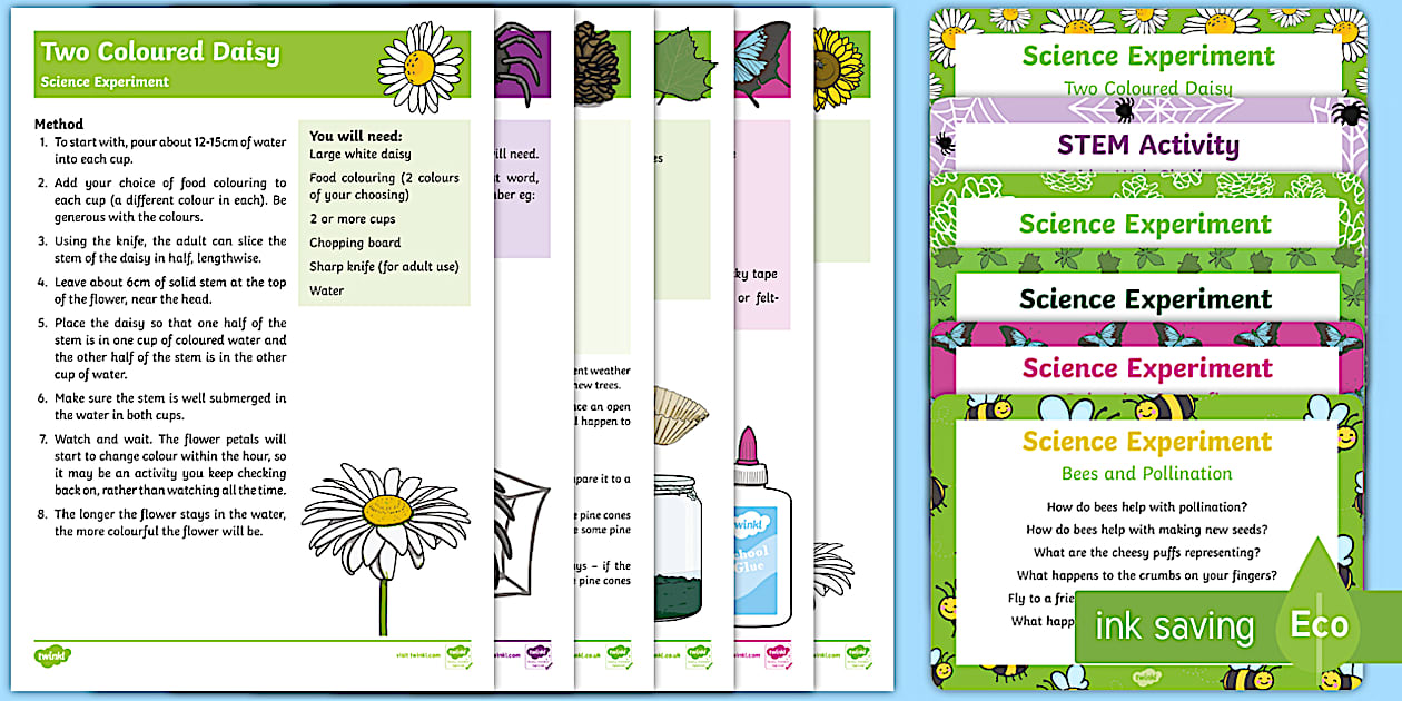 EYFS Forest and Woodland Science Experiments Resource Pack