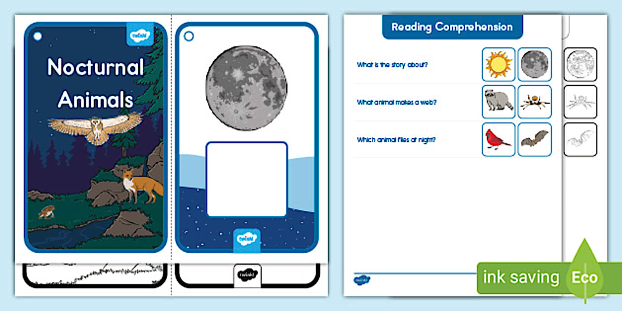 Nocturnal Animals Early Adapted Reader for Special Education