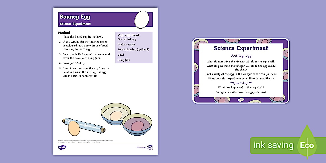 Bouncing Egg Experiment Worksheet and Prompt Card Pack