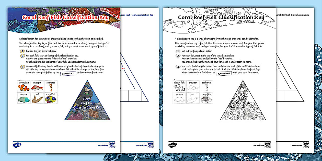 Coral Reef Fish Classification Key | World Oceans Day