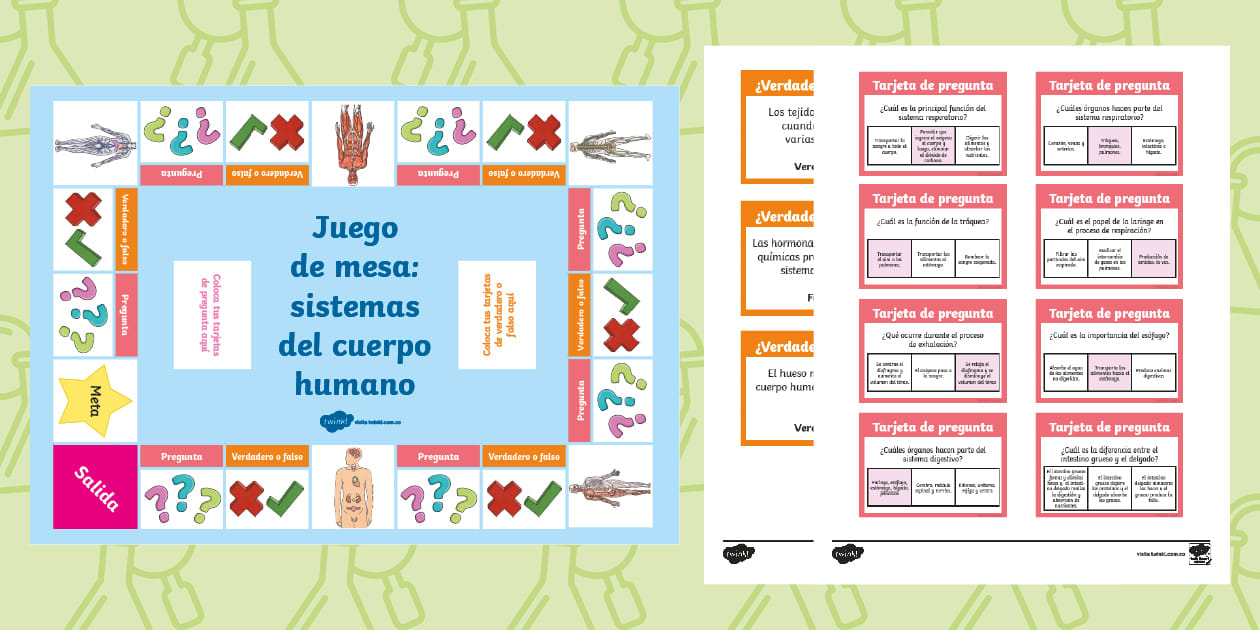 Juego de mesa: sistemas del cuerpo humano - Twinkl Colombia