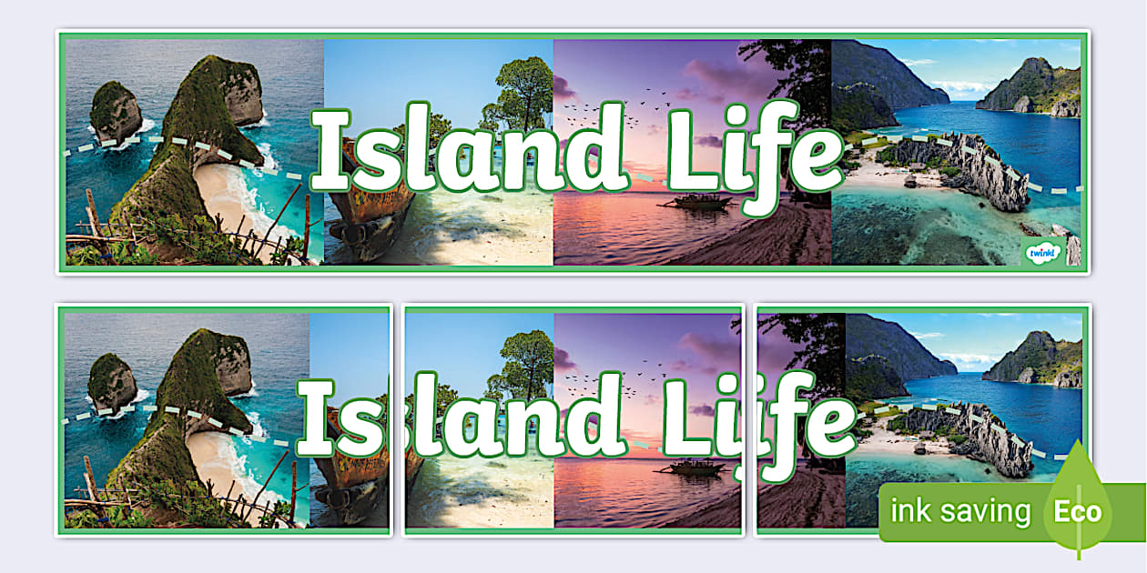 Island Life Display Banner (teacher made) - Twinkl