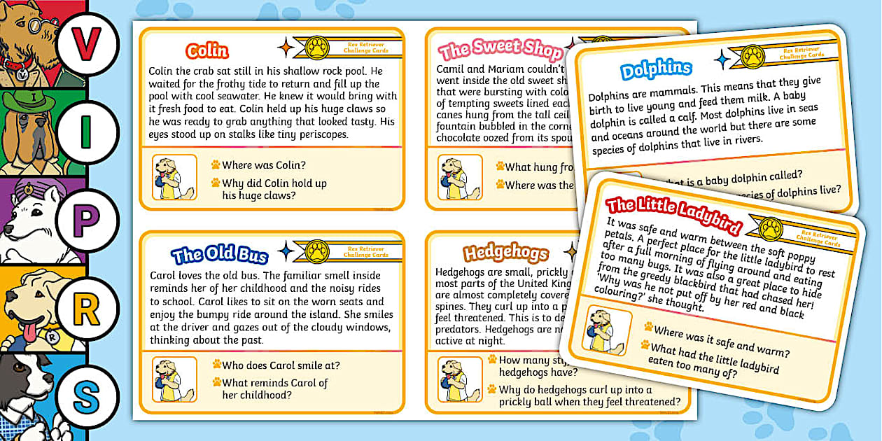 KS1 Rex Retriever Challenge Cards (Lehrer gemacht) - Twinkl