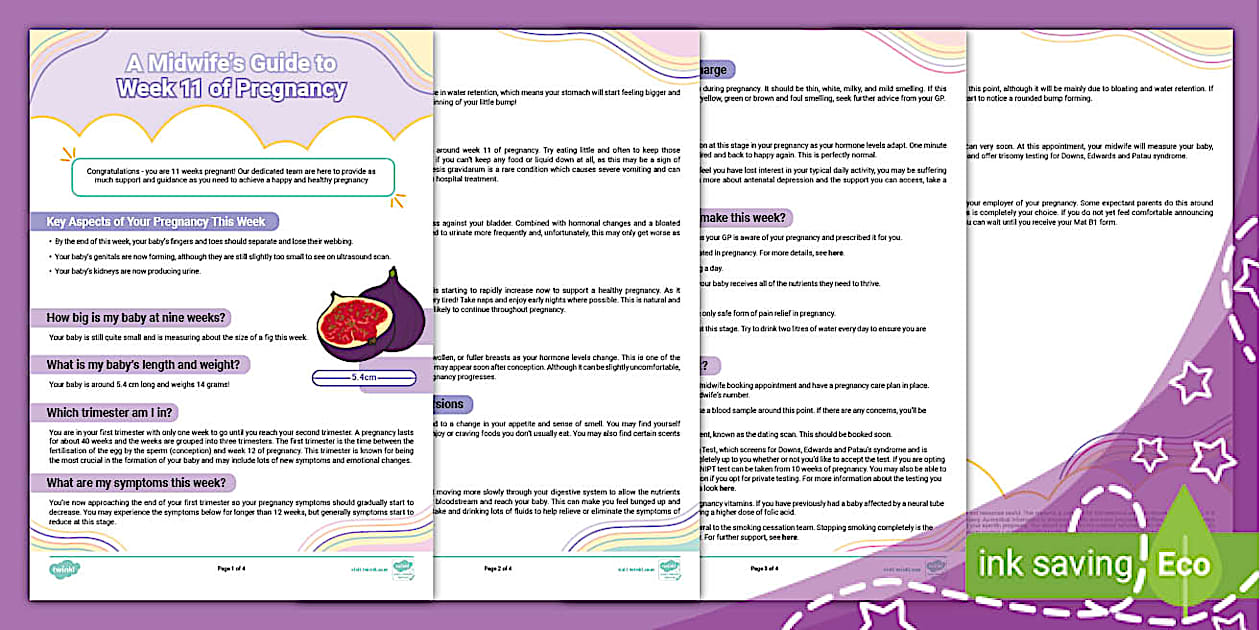 A Midwife’s Guide to Week 11 of Pregnancy