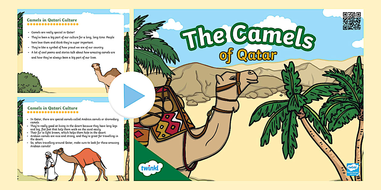 The Camels of Qatar PowerPoint (teacher made) - Twinkl