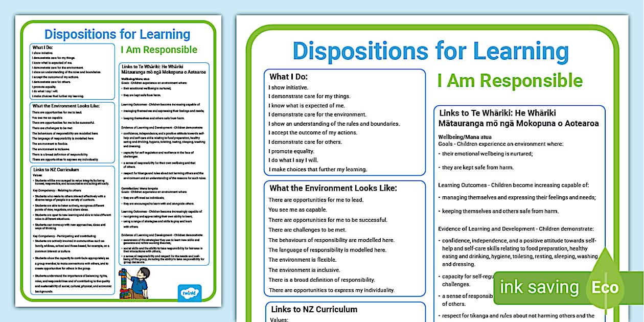 Disposition: Responsibility Large Information Poster