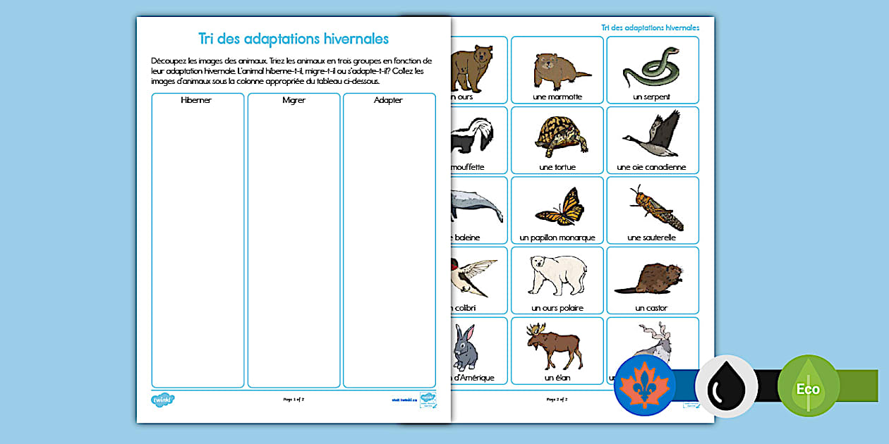 Winter Adaptations Sorting Activity French
