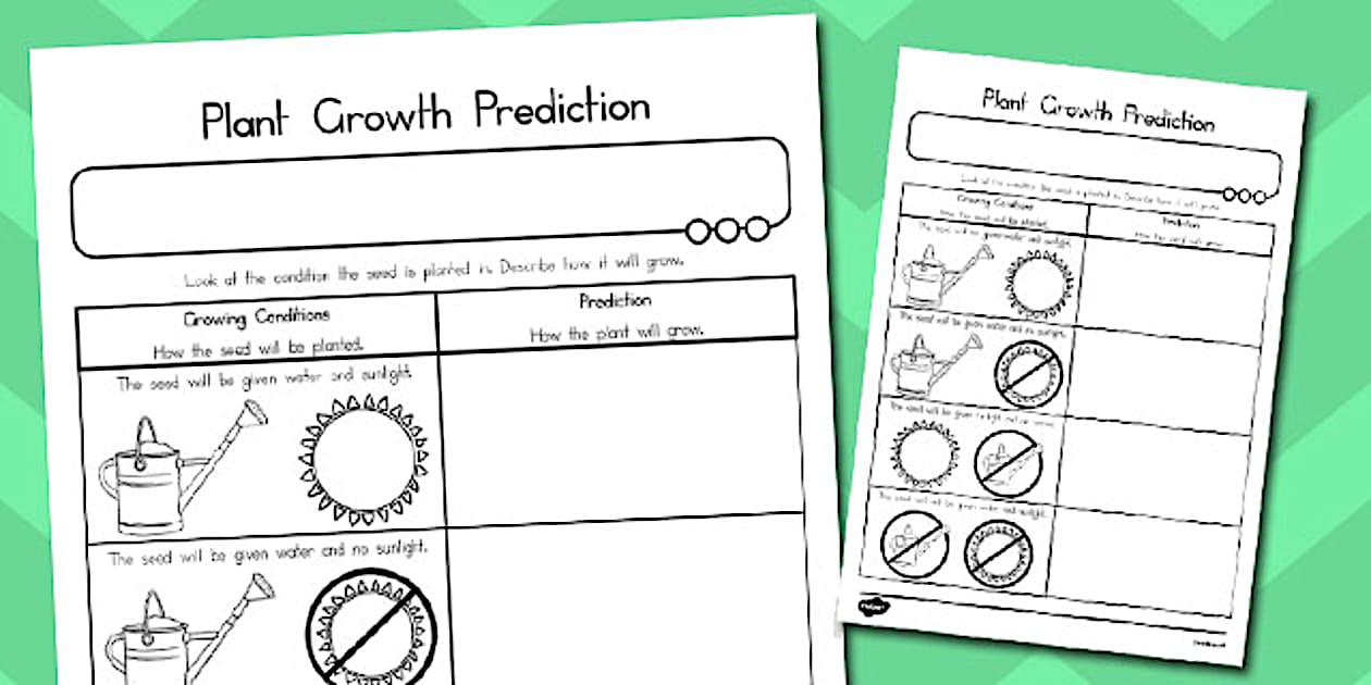 Plant Growth Prediction Worksheet (teacher made) - Twinkl