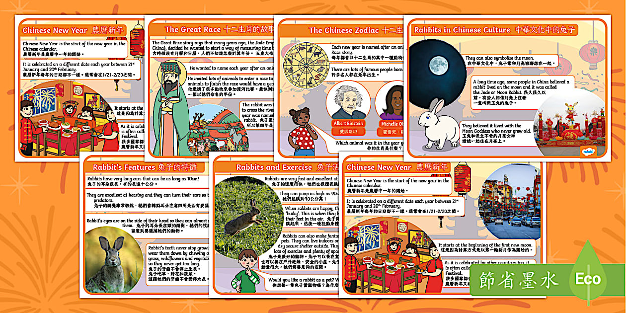 EYFS All About Rabbits Chinese New Year Fact Files（中英雙語）