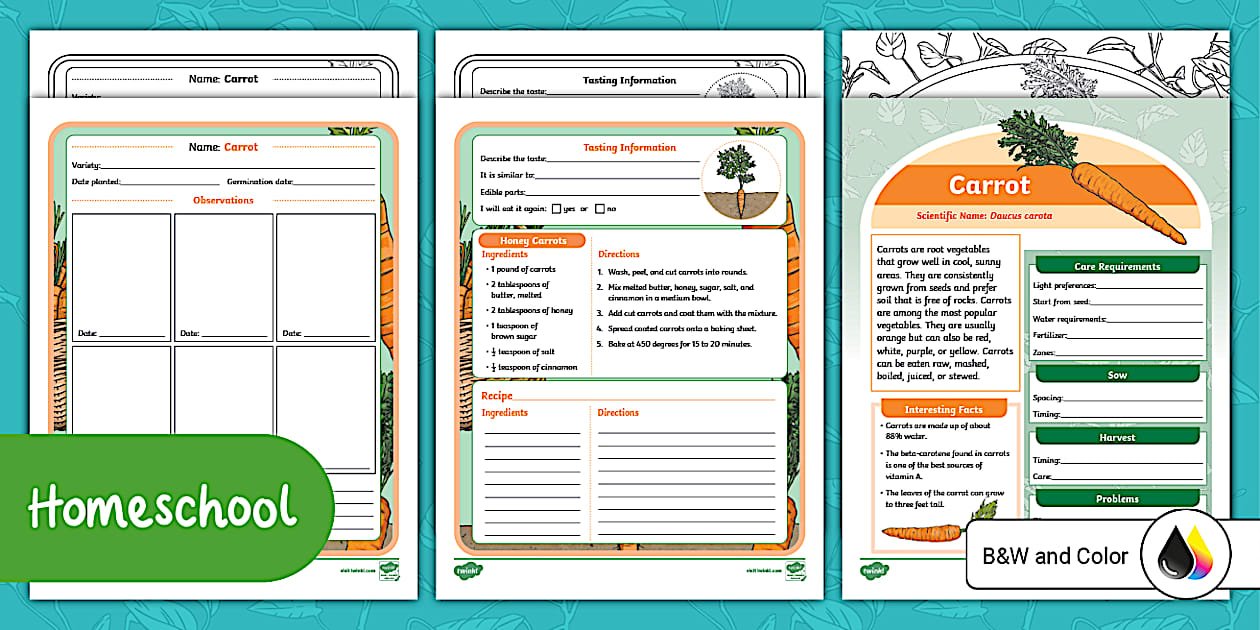 Carrot Growing Guide (teacher made) - Twinkl