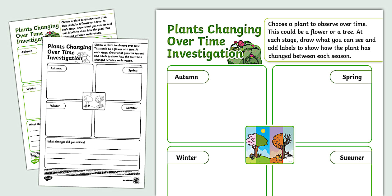 Plants Changing Over Time Investigation Worksheet - Twinkl