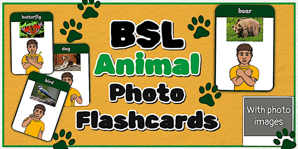BSL Animals Photo Flashcards