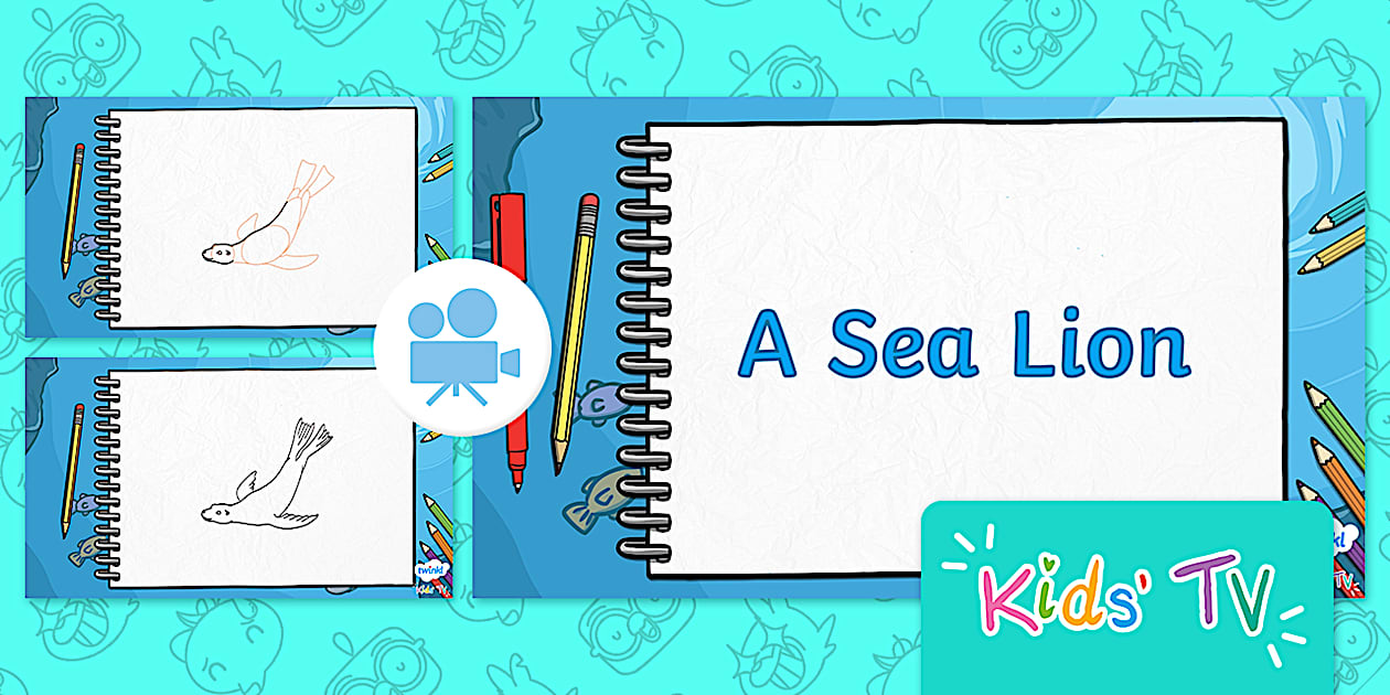 How to Draw a Sea Lion | Drawing Tutorial for Kids - Twinkl