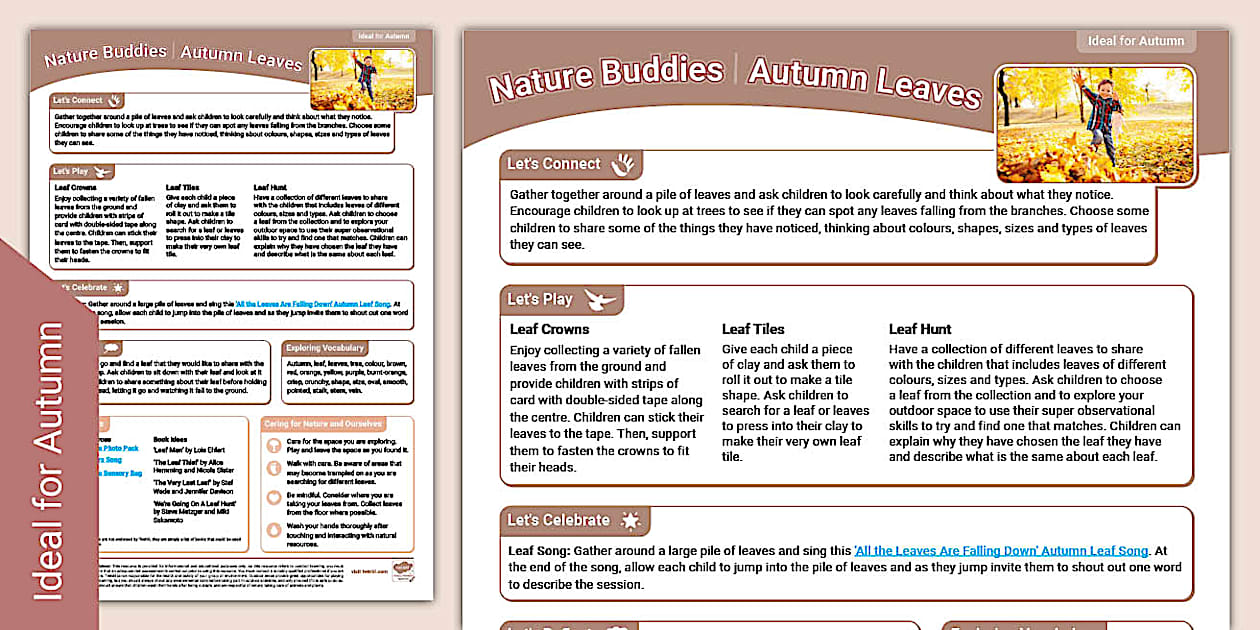 EYFS Nature Buddies Outdoor Learning: Autumn Leaves | Twinkl