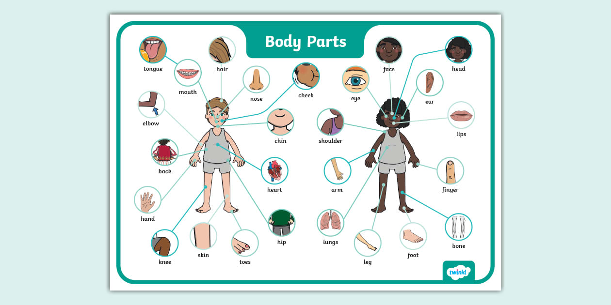 Body Parts Word Mat (teacher made) - Twinkl