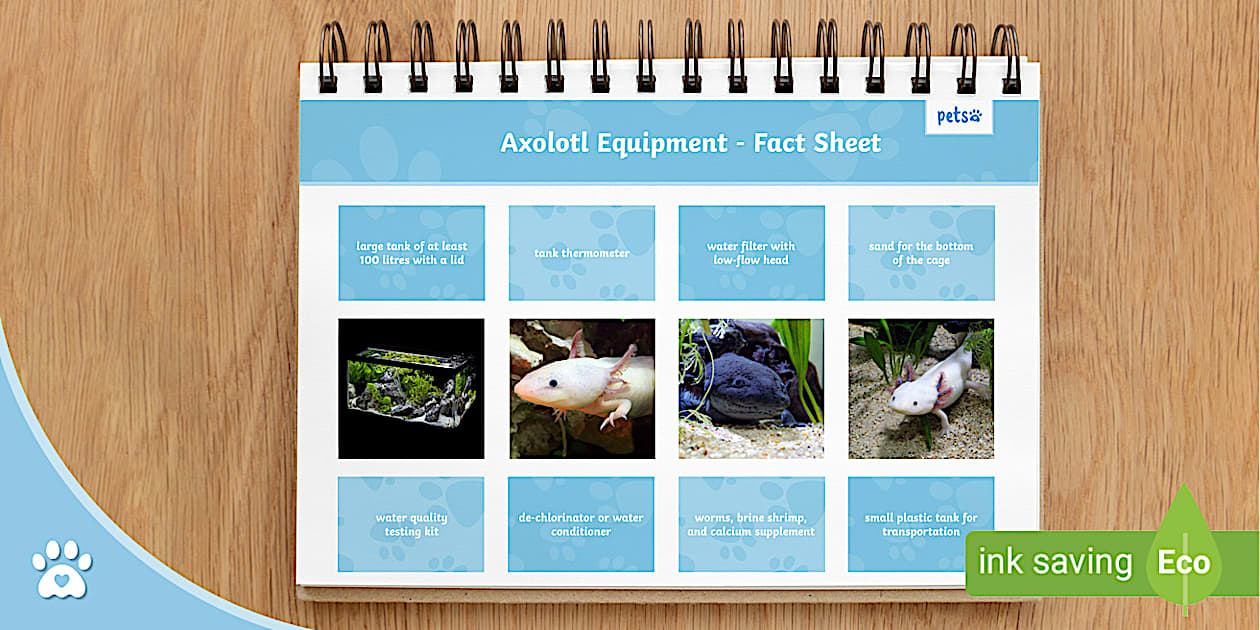 Axolotl Equipment - Fact Sheet - Axolotls - Twinkl Pets