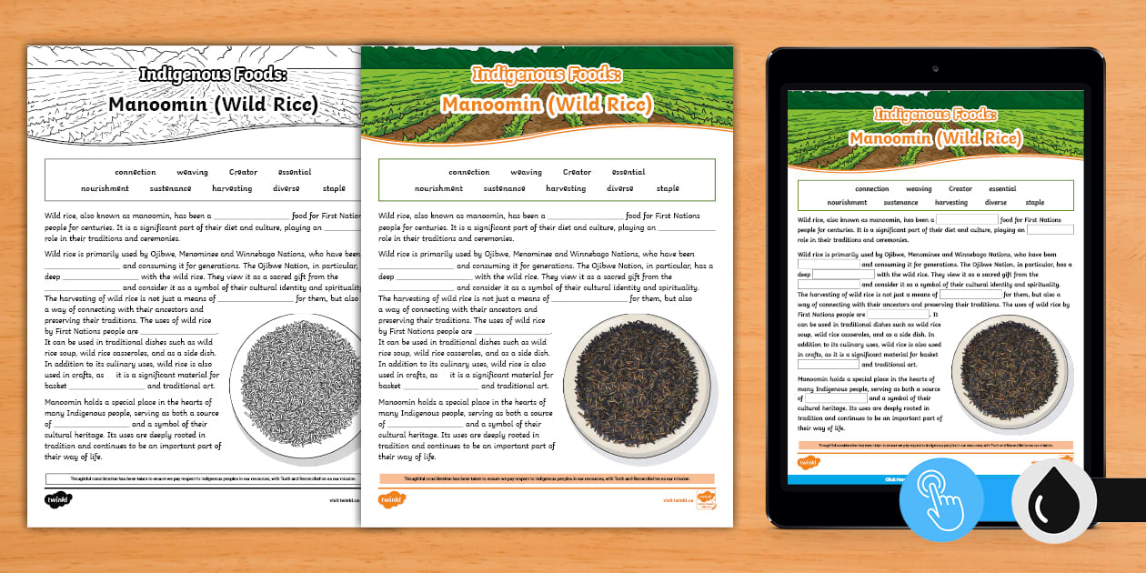 FREE! - Indigenous Foods: Manoomin (Wild Rice) Cloze Activity